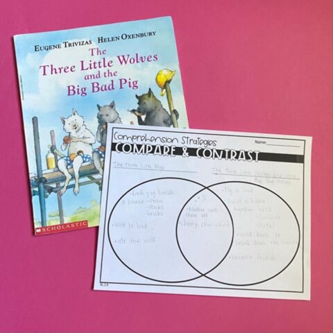 3 Comparing and Contrasting Lesson Plan Ideas That Will Engage 2nd ...